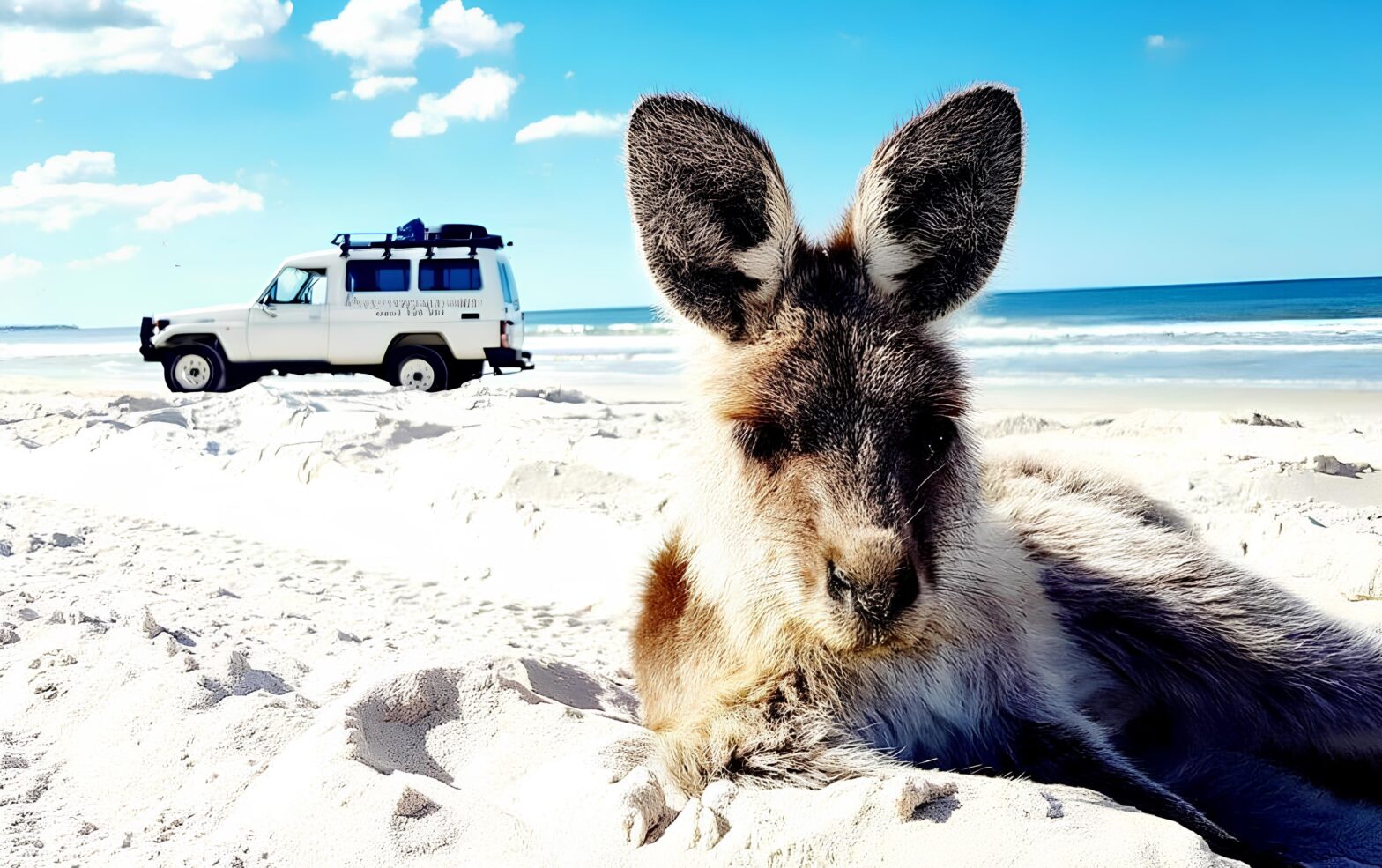 G'day: best and number 1 Aussie slang word that says it all